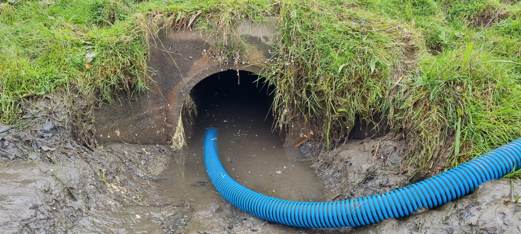 Flow Reduction - BlueLine Drains